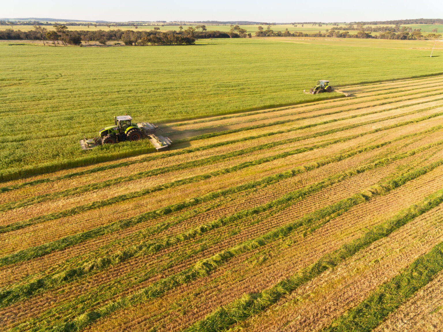 Rural Bank - Mallee Machinery Field Days